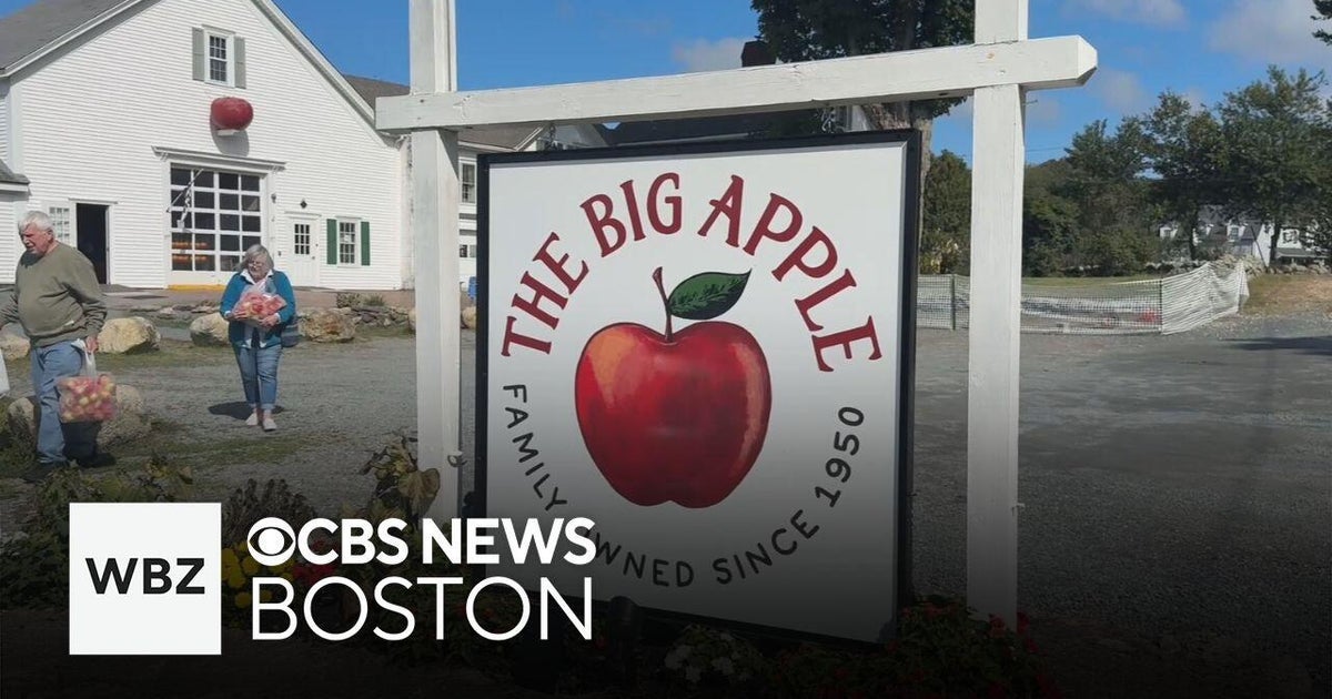Wrentham's The Big Apple has been serving all things apple at their ...