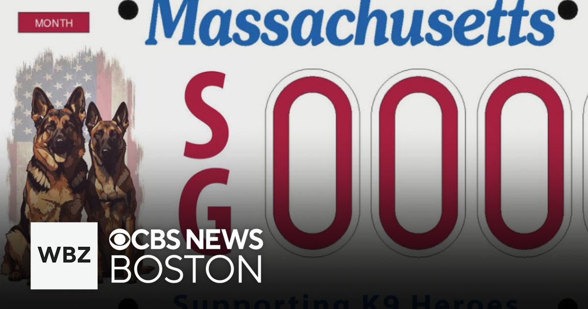 Massachusetts K9 license plate is tribute and fundraiser - CBS Boston