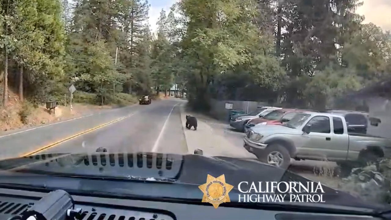 Nevada City news - Today’s latest updates - CBS Sacramento