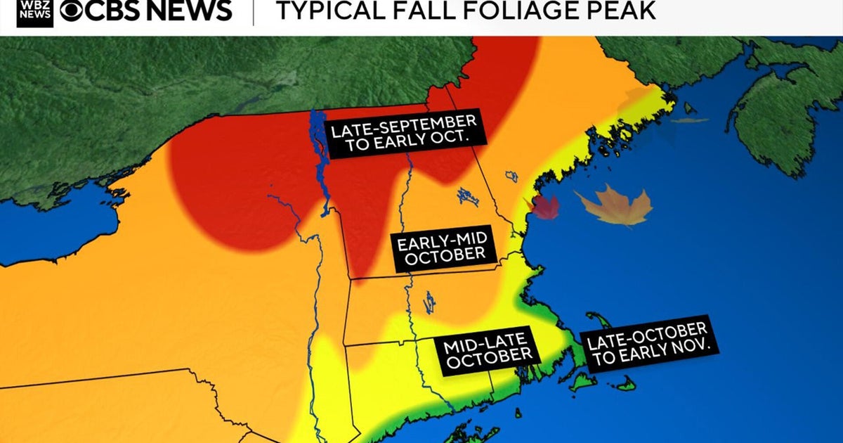 When will New England see peak fall foliage? Why bright colors may fade ...
