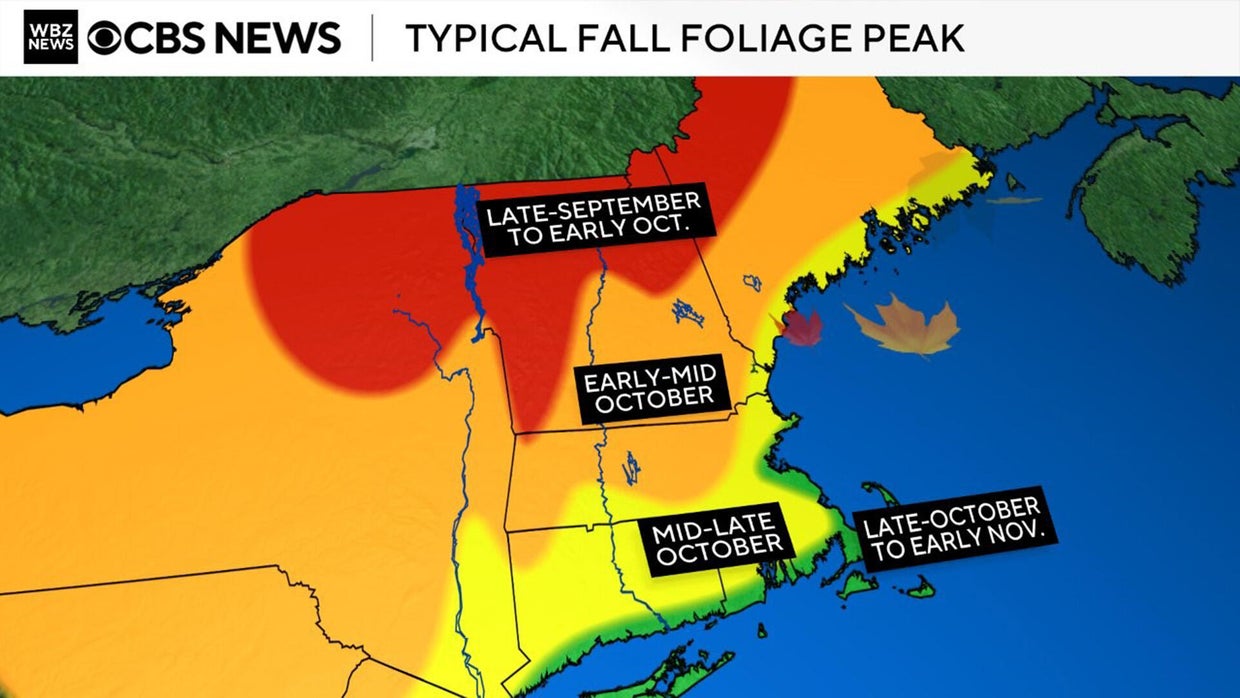 When will New England see peak fall foliage? Why bright colors may fade ...