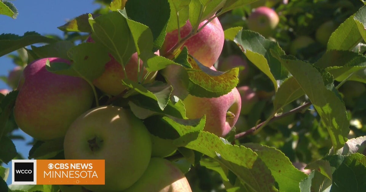 Fall is officially here, and apple orchards are ready with their ...