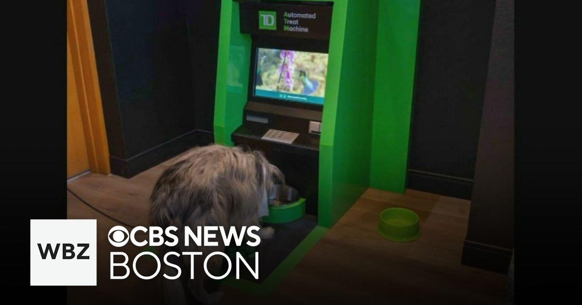 TD Bank to install dog treat ATMs at Boston location - CBS Boston