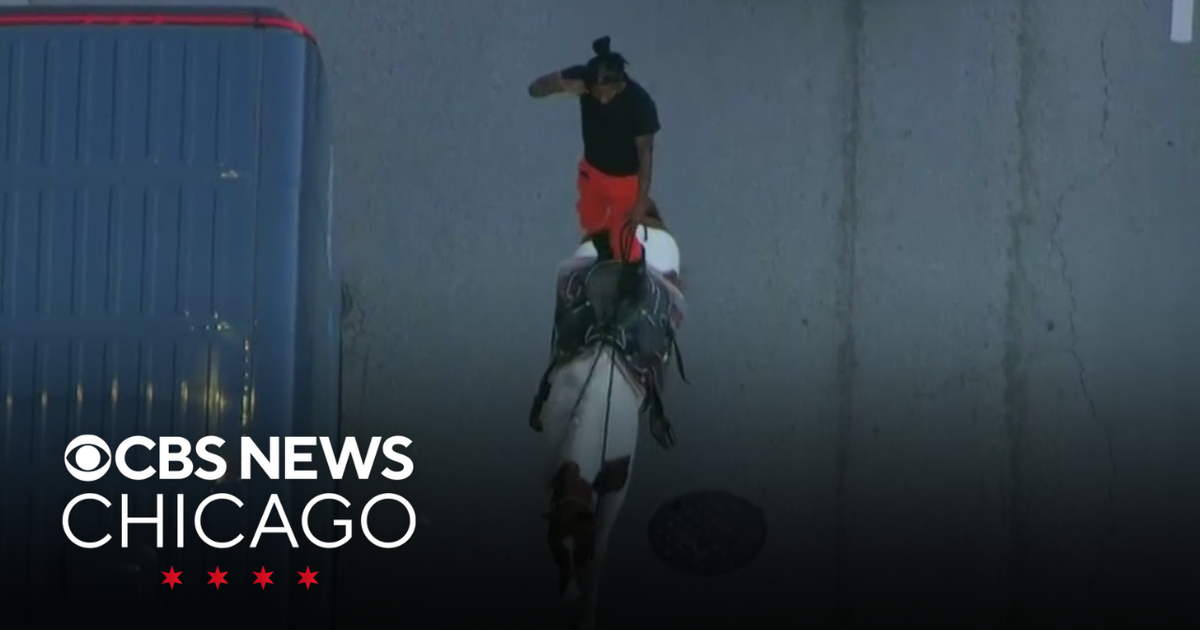 Dreadhead Cowboy spotted riding, flipping off horse in downtown Chicago ...