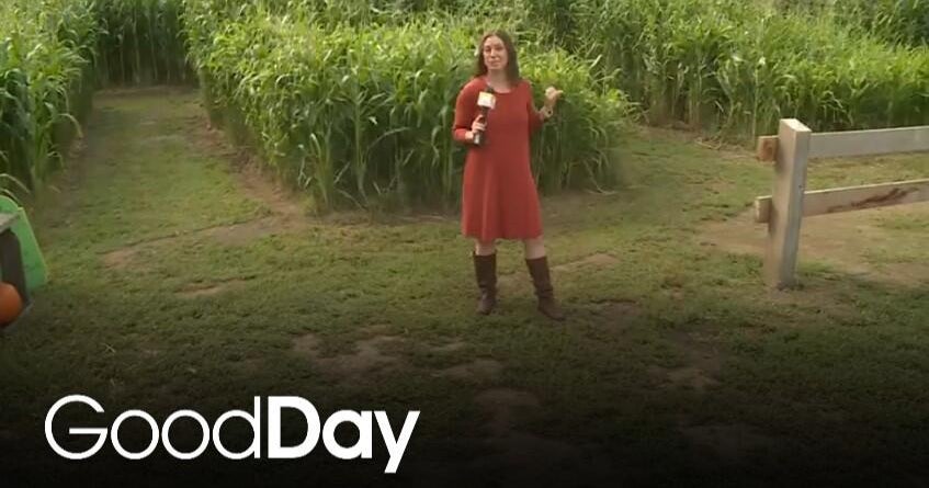 It's finally starting to feel like fall so visit Little Field Farms ...