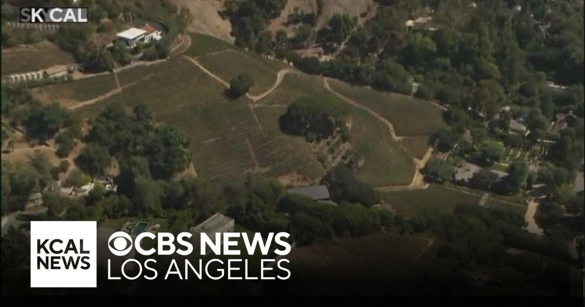 Moraga Estate and Winery | Look at This! - CBS Los Angeles