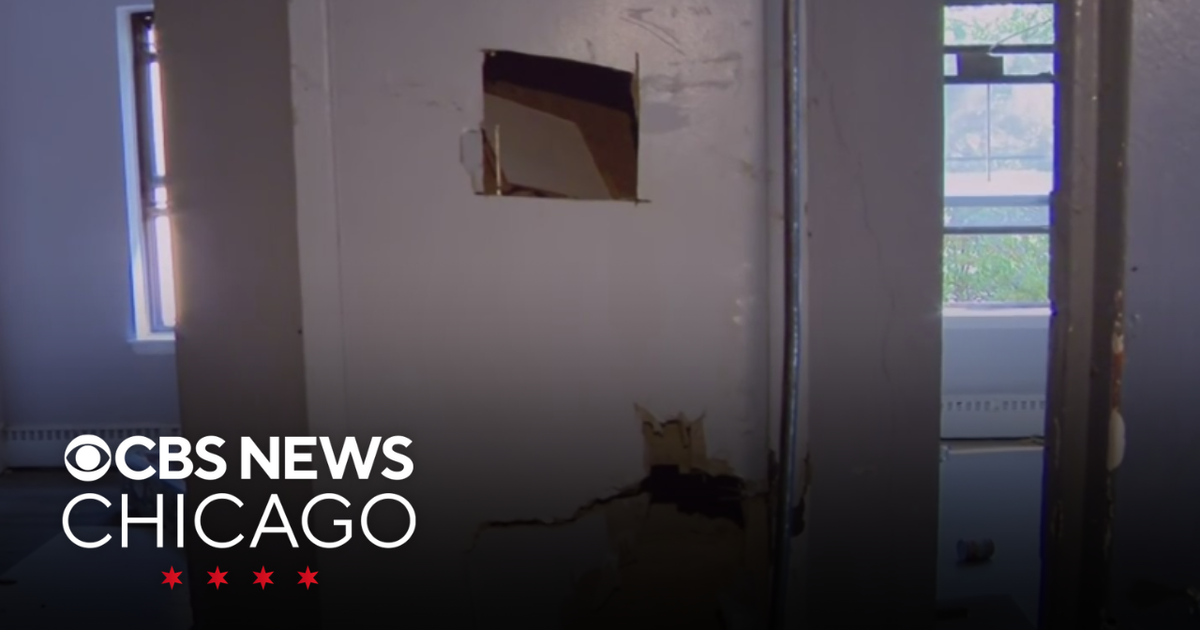 Neighbors describe ICE, FBI "immigration enforcement operation" in ...