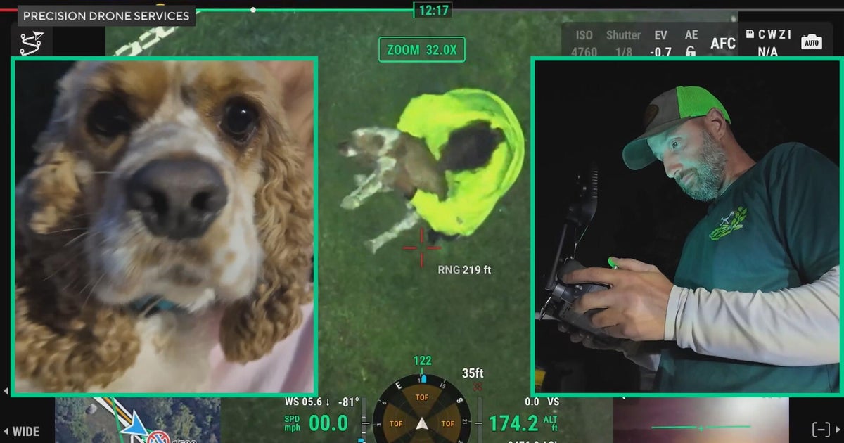 The search for Samson: How a thermal drone pilot reunited a lost dog ...