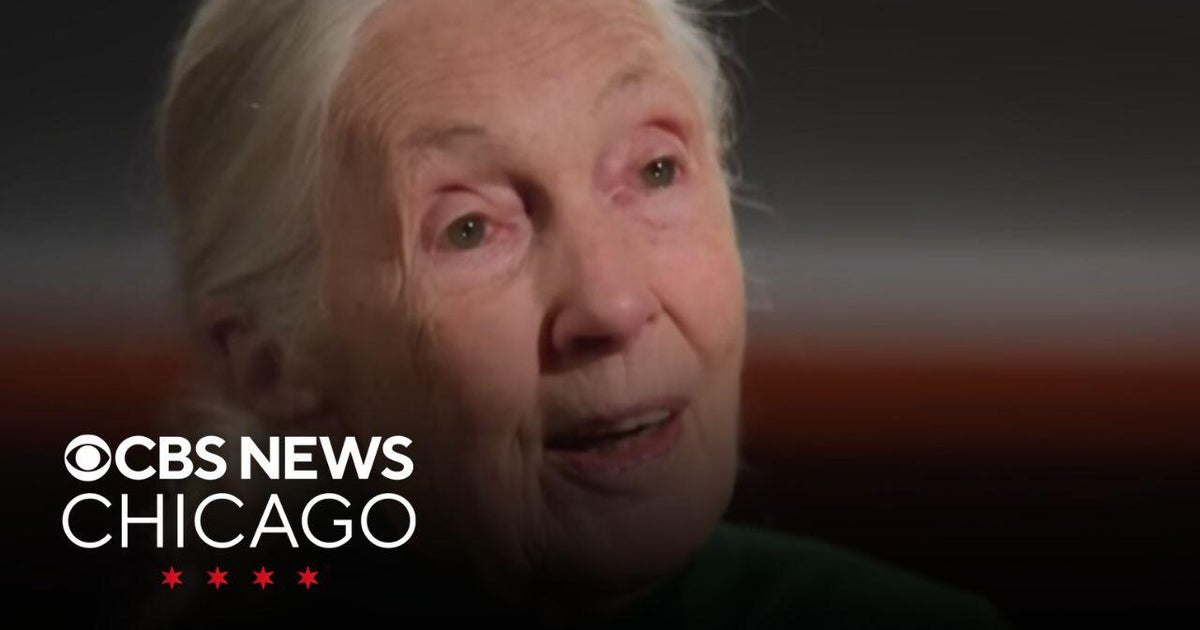 Dr. Jane Goodall leaves her final words - CBS Chicago