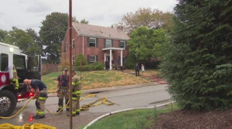 Dog turns on stove and starts fire at Pittsburgh home - CBS Pittsburgh