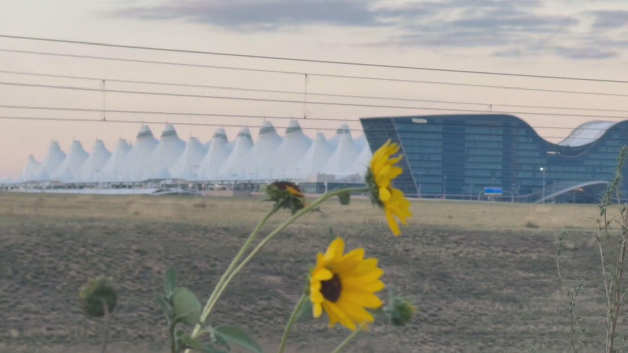 Government shutdown adds stress to air traffic controllers at Denver ...