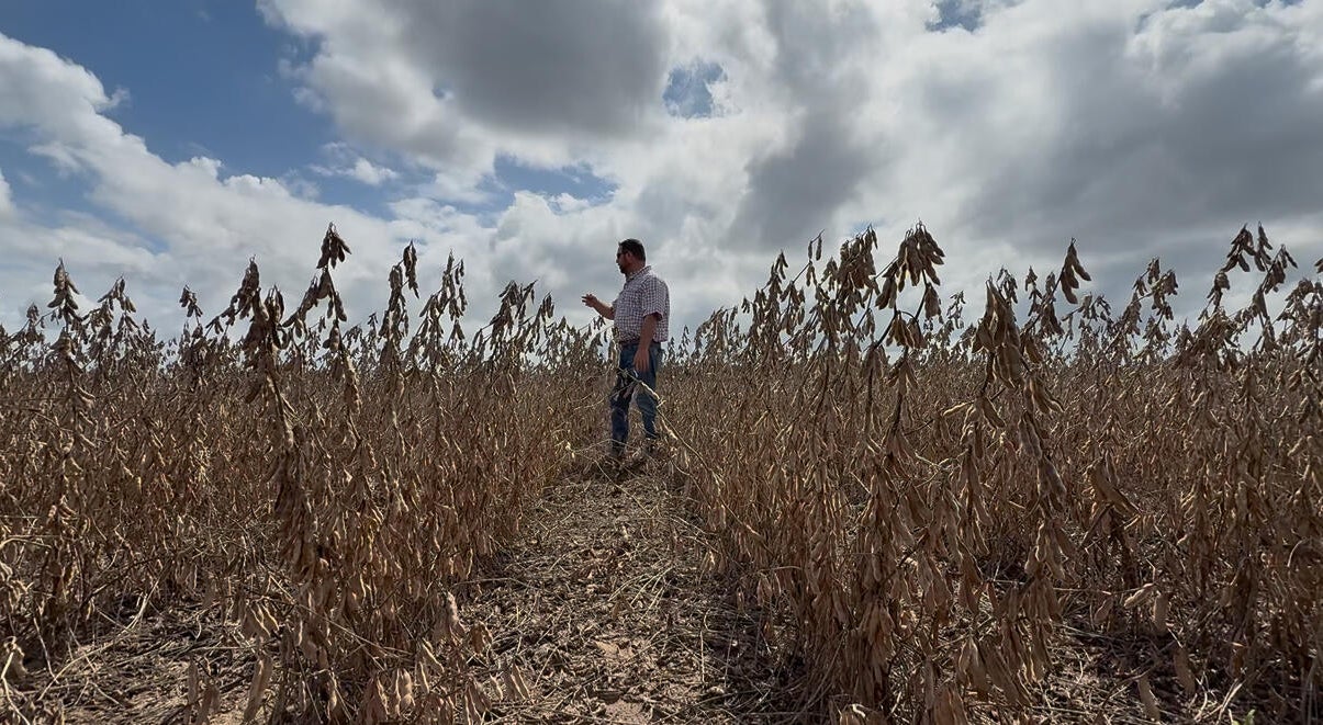 Georgia's soybean farmers feeling pressure of boycott as trade war with ...