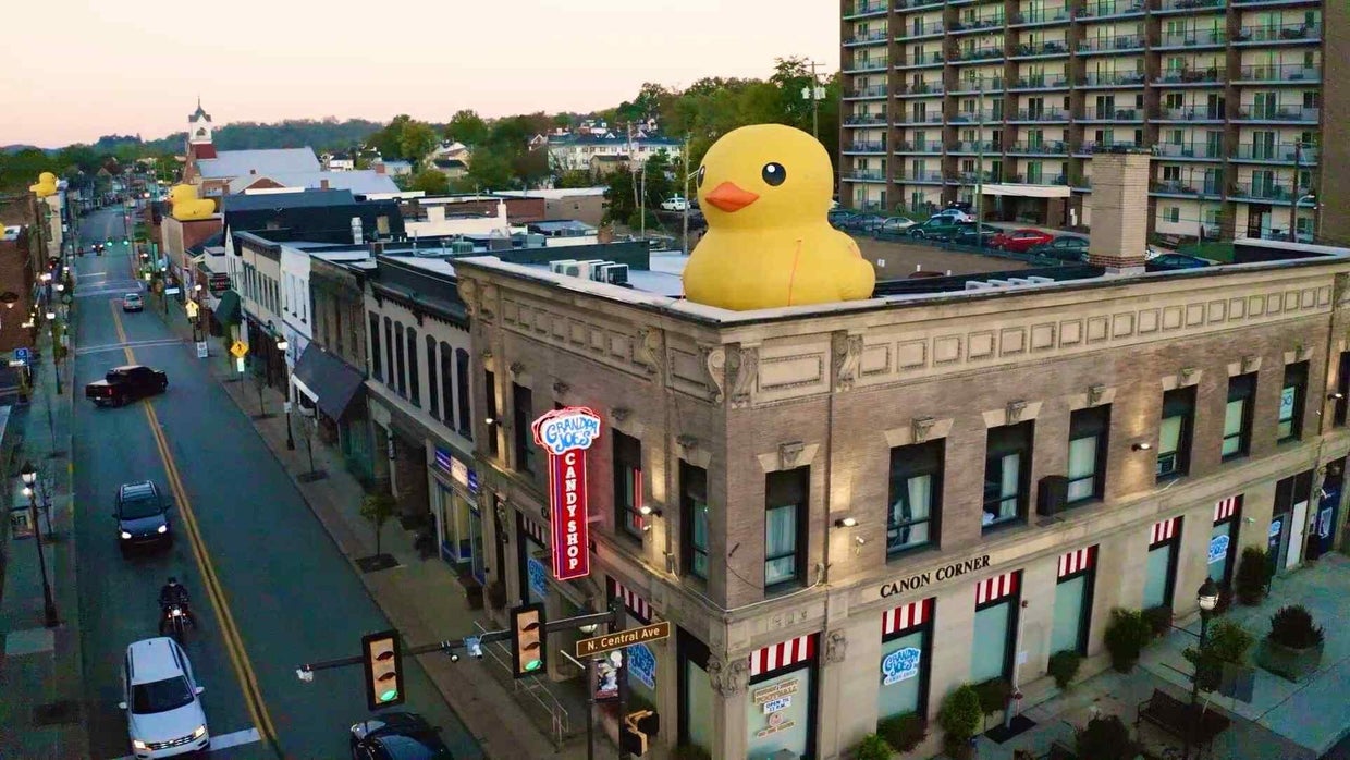 Mastermind behind Canonsburg's rubber duck mystery revealed - CBS ...