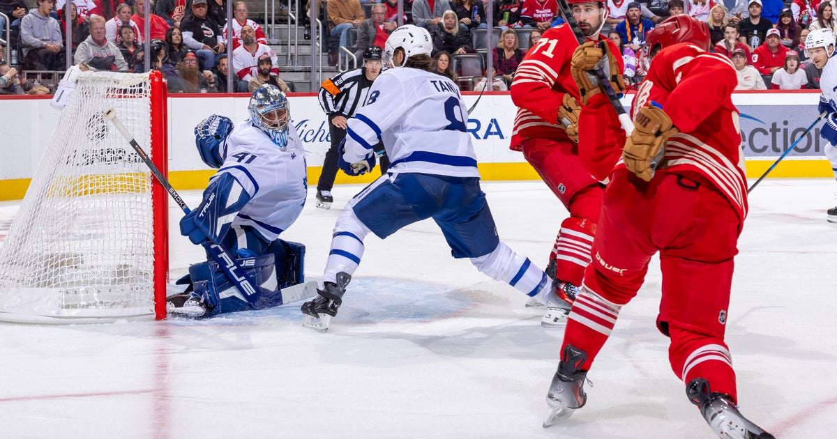 Detroit Red Wings take down Toronto Maple Leafs, 6-3; Raymond scores ...