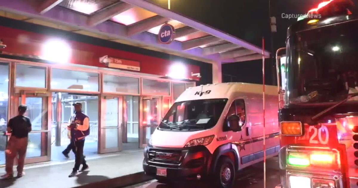 Man dies after jumping from moving CTA Red Line train on Chicago's ...