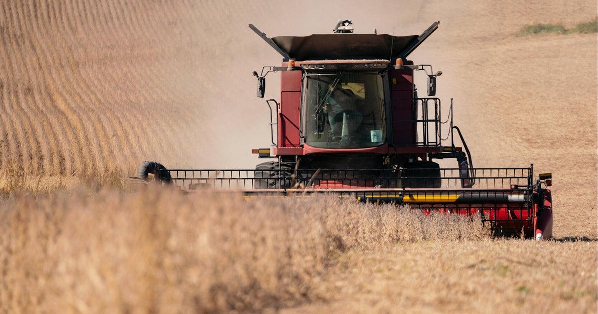 Iowa soybean farmer says "export to China just isn't there" - CBS News