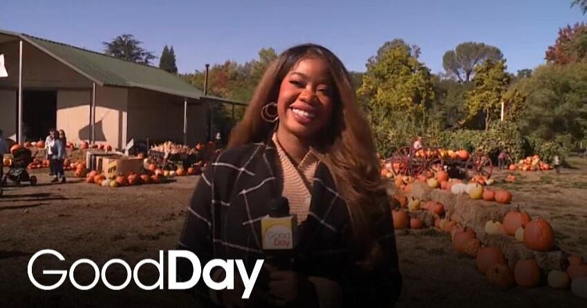 Pumpkin Patch At Zittel Farms - Good Day Sacramento