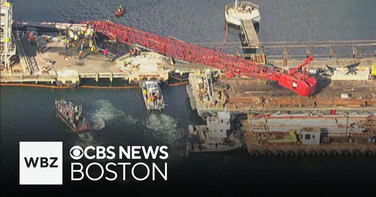 1 person killed in crane collapse on Everett's waterfront - CBS Boston