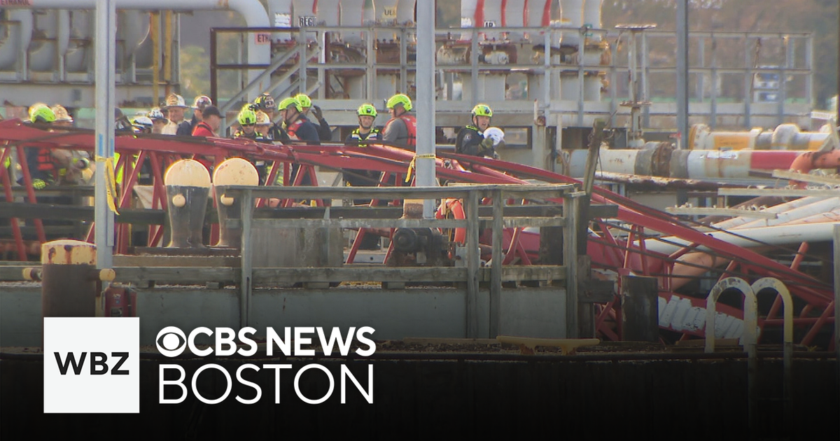 2 people killed in crane collapse in Everett - CBS Boston