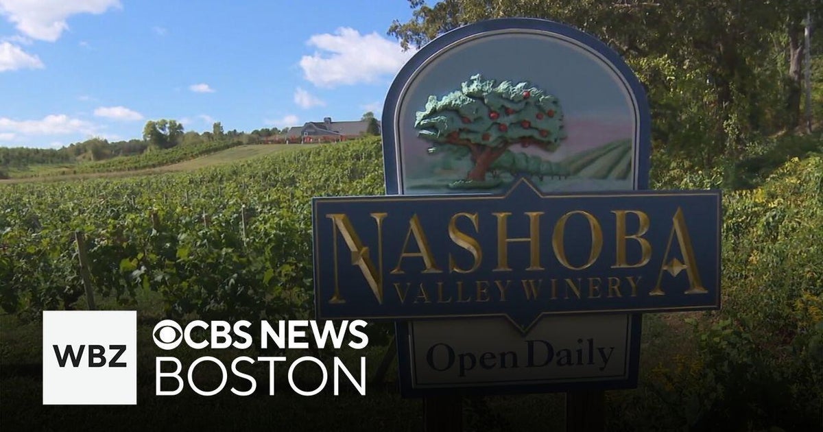 Bolton home to the largest and oldest continuously operating winery in ...