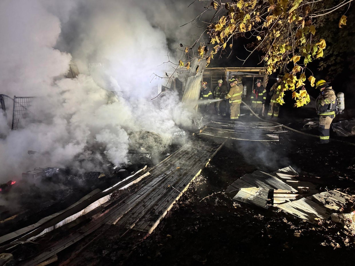 2 dogs, 19 puppies killed in Southwest Michigan building fire - CBS Detroit