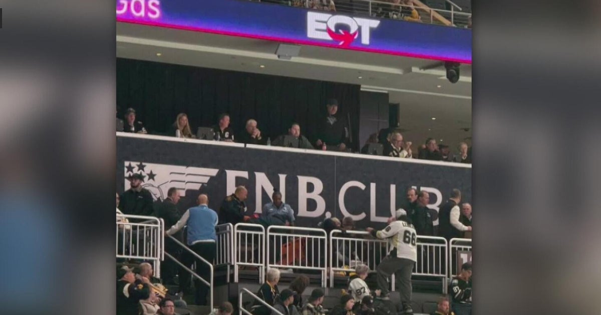 Fan falls from PPG Paints Arena stands during Penguins-Blues game - CBS Pittsburgh