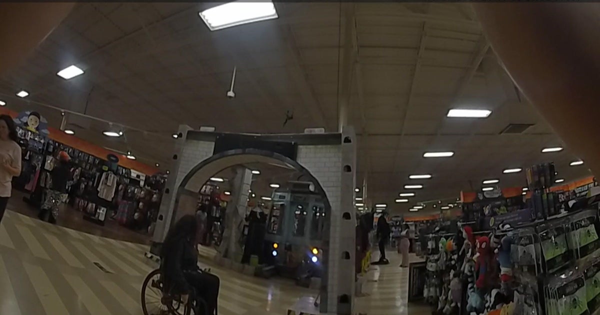 Monkey seen swinging from the rafters in Plano Halloween store - CBS Texas