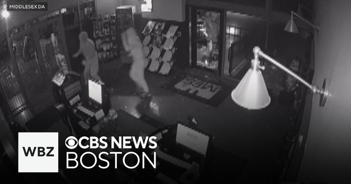 Thieves break into Mass Firearms School and steal guns - CBS Boston