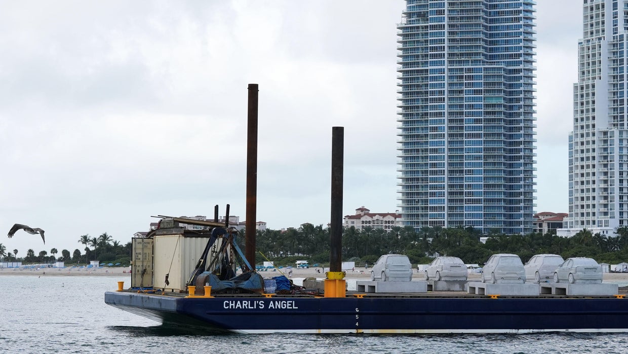 Underwater "traffic jam" off Miami Beach becomes a coral reef teeming ...