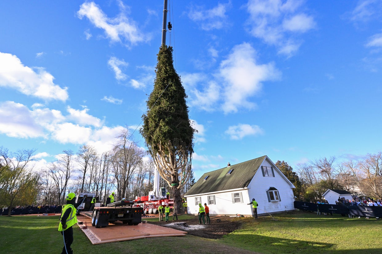 Rockefeller Center Christmas tree arrives in New York City to usher in ...