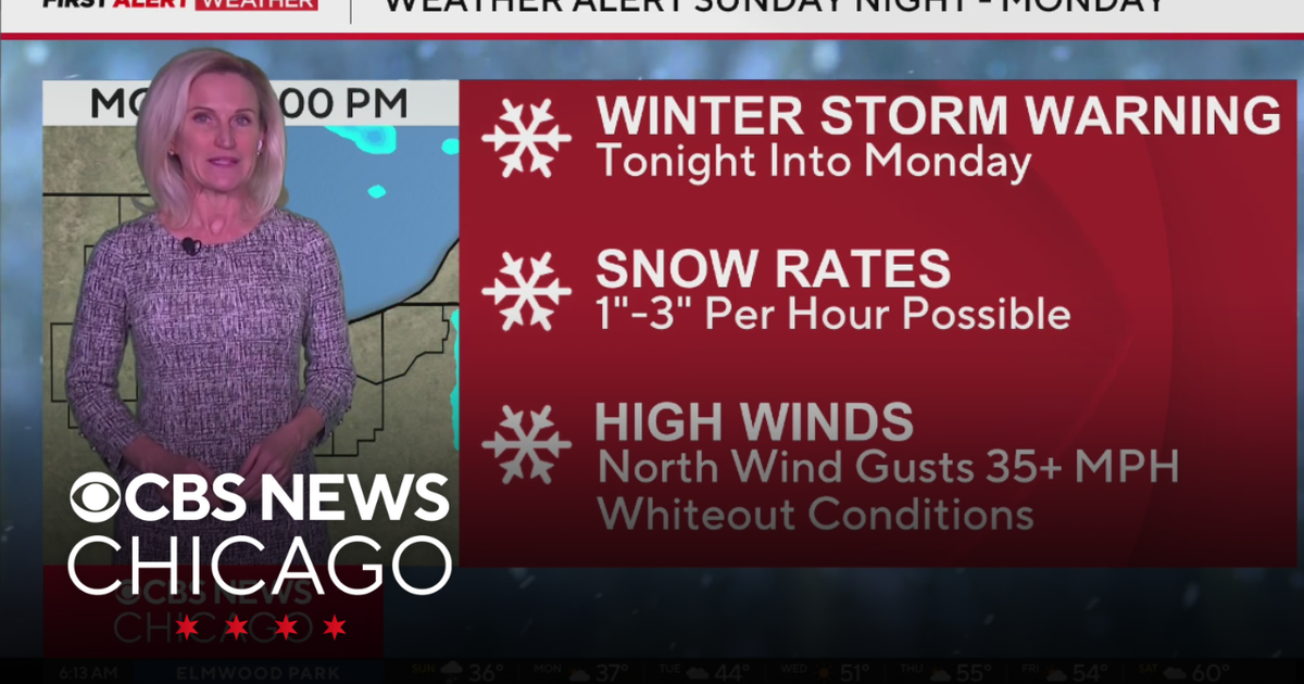 Winter Storm Warning begins Sunday night in Chicago, 2 to 3 inches of ...