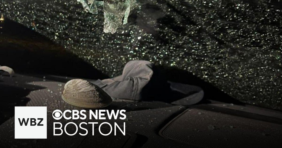 Seagull uses shell to smash Massachusetts officer's windshield - CBS Boston