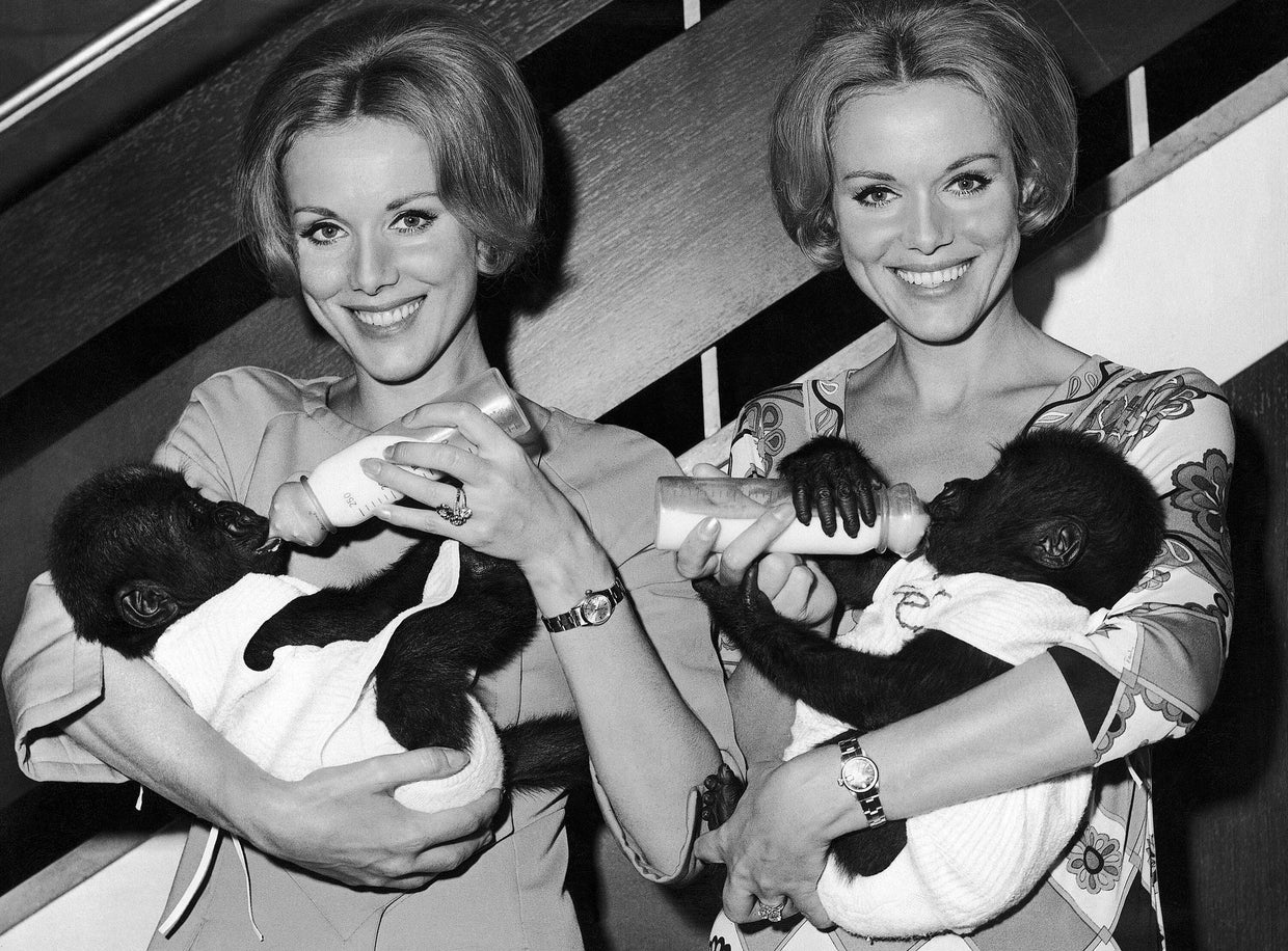 Bokep prank ojol sex