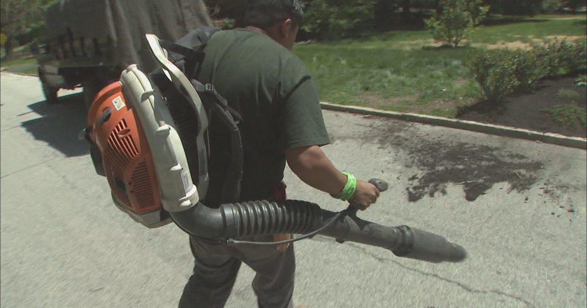 Gas-powered leaf blowers banned after Lower Merion commissioners vote ...