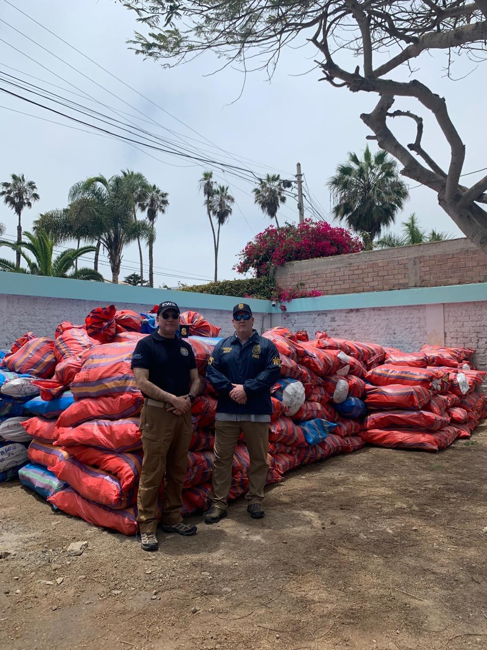 10,000 shark fins worth over $11M seized in major wildlife trafficking ...