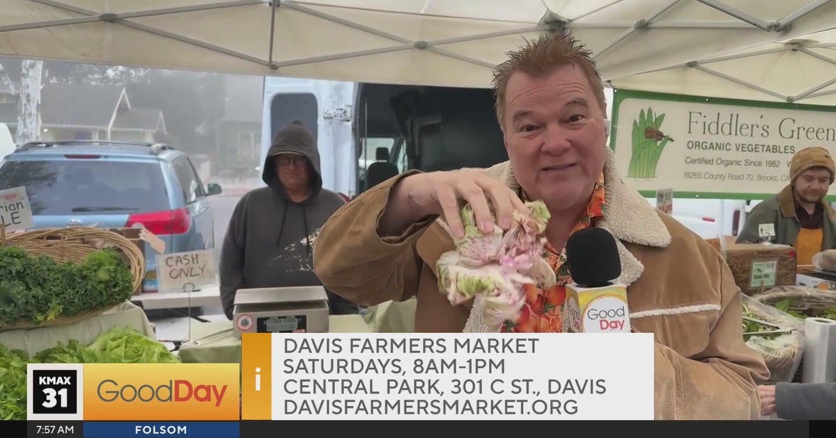 Your Produce Man is at the Davis Farmers Market - Good Day Sacramento