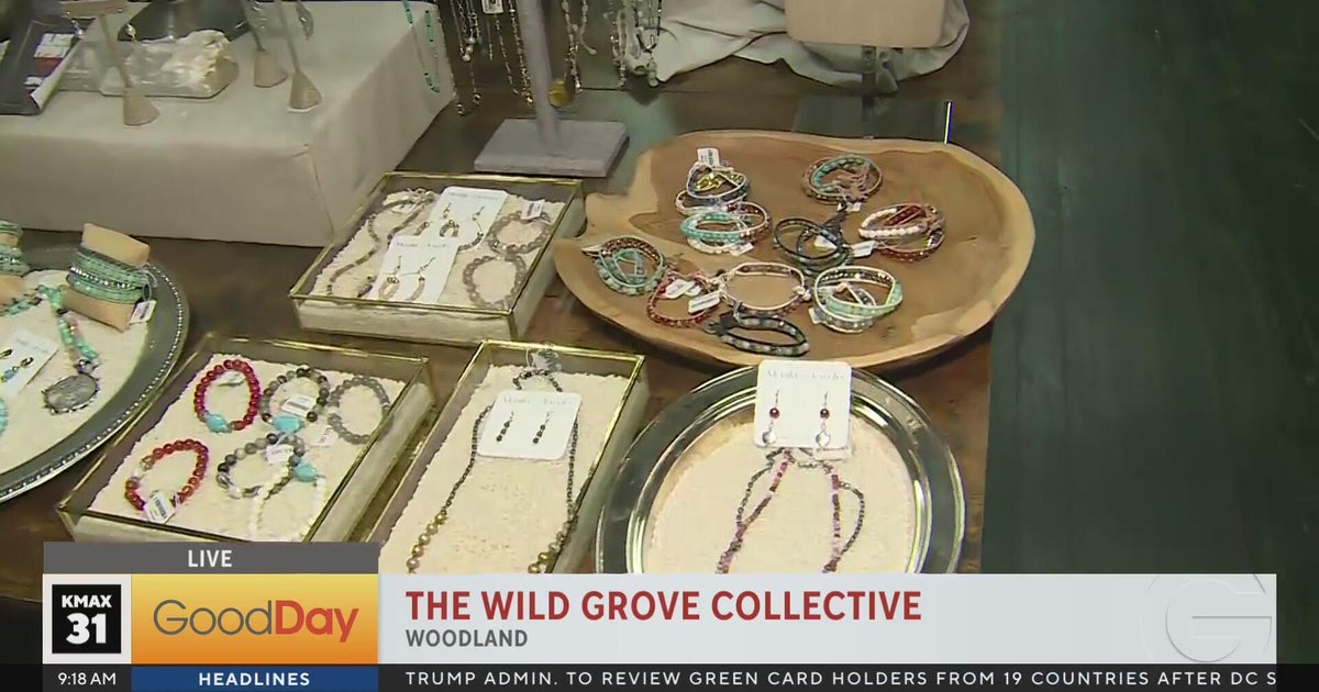 The Wild Grove Collective - Good Day Sacramento