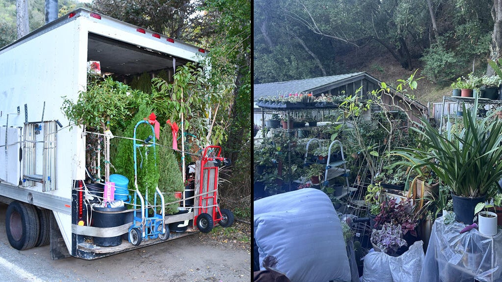 Santa Clara County deputies arrest 3 suspected of running plant theft ...