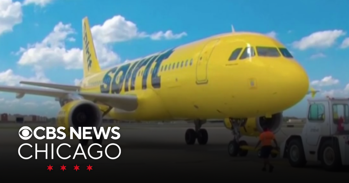 A lifeline for Spirit Airlines, new requirements for international ...