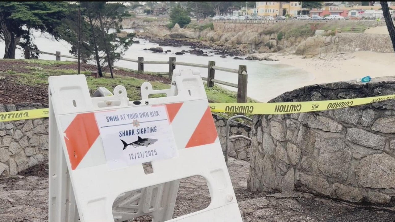 Shark Attack news - Today’s latest updates - CBS San Francisco