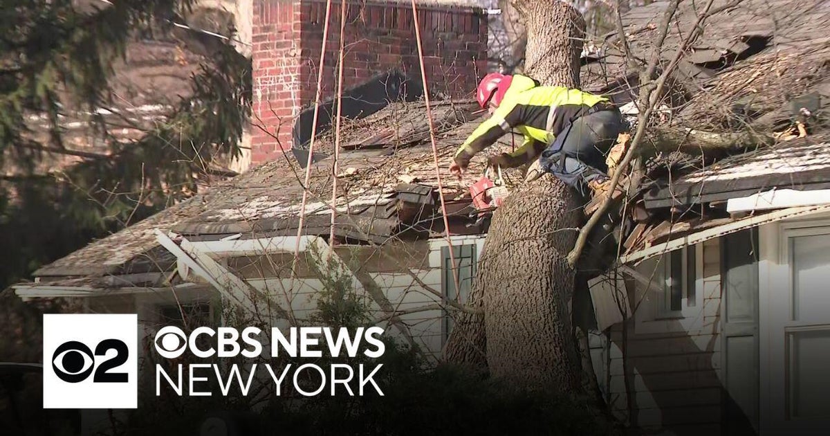 Strong winds topple trees across Tri-State Area - CBS New York