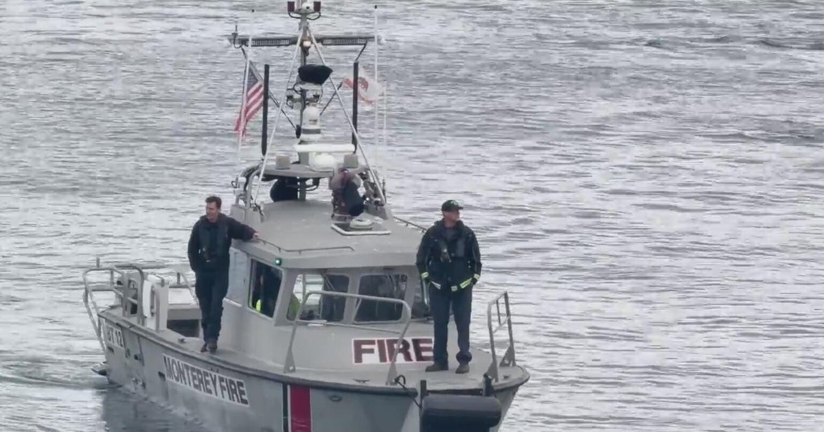 Possible deadly Pacific Grove shark encounter highlighting potential ...