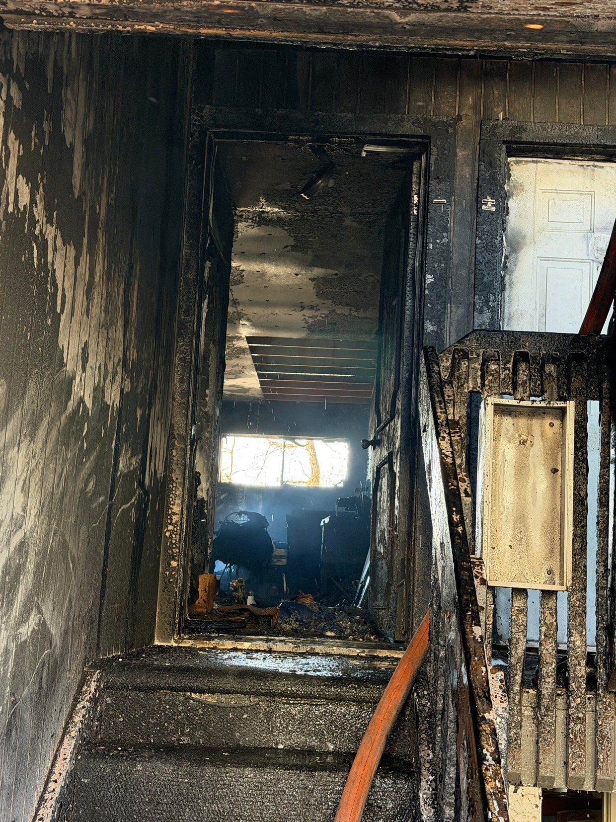 Resident injured, dog killed in apartment fire in Denver metro area ...