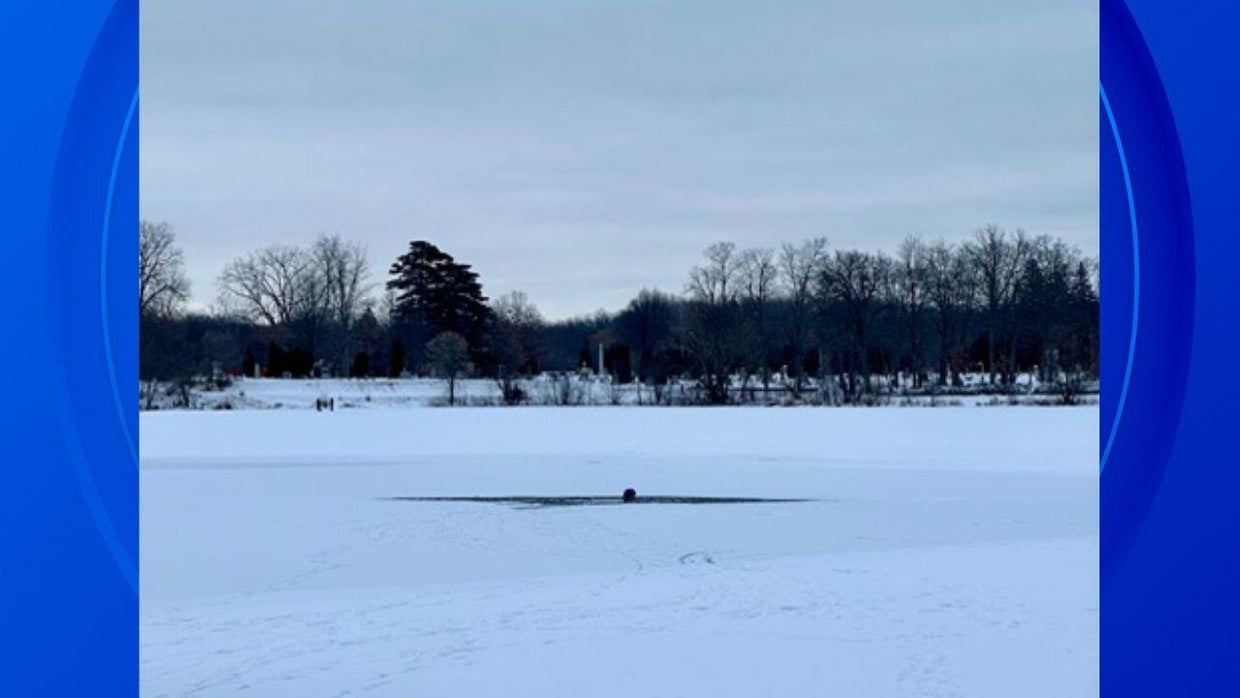 Holly man rescued from icy waters after snowmobile falls into lake ...