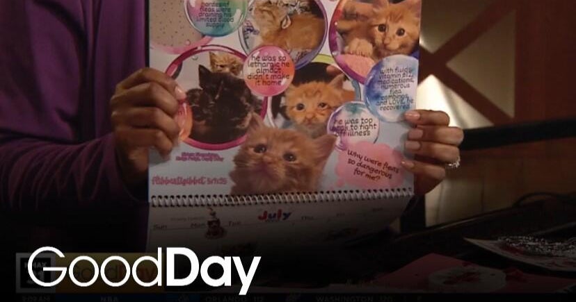 Thanks to everyone that sent us sweet greeting cards and gifts! | Show ...