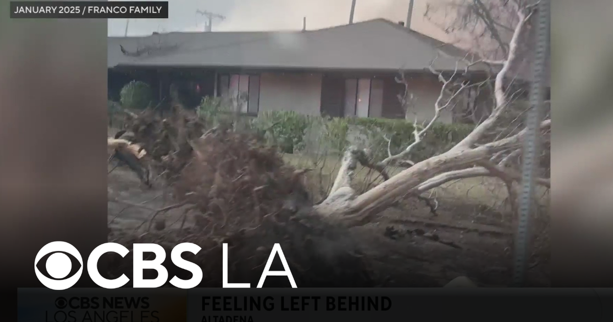 Eaton Fire survivors cope with aftermath and empty Altadena ...