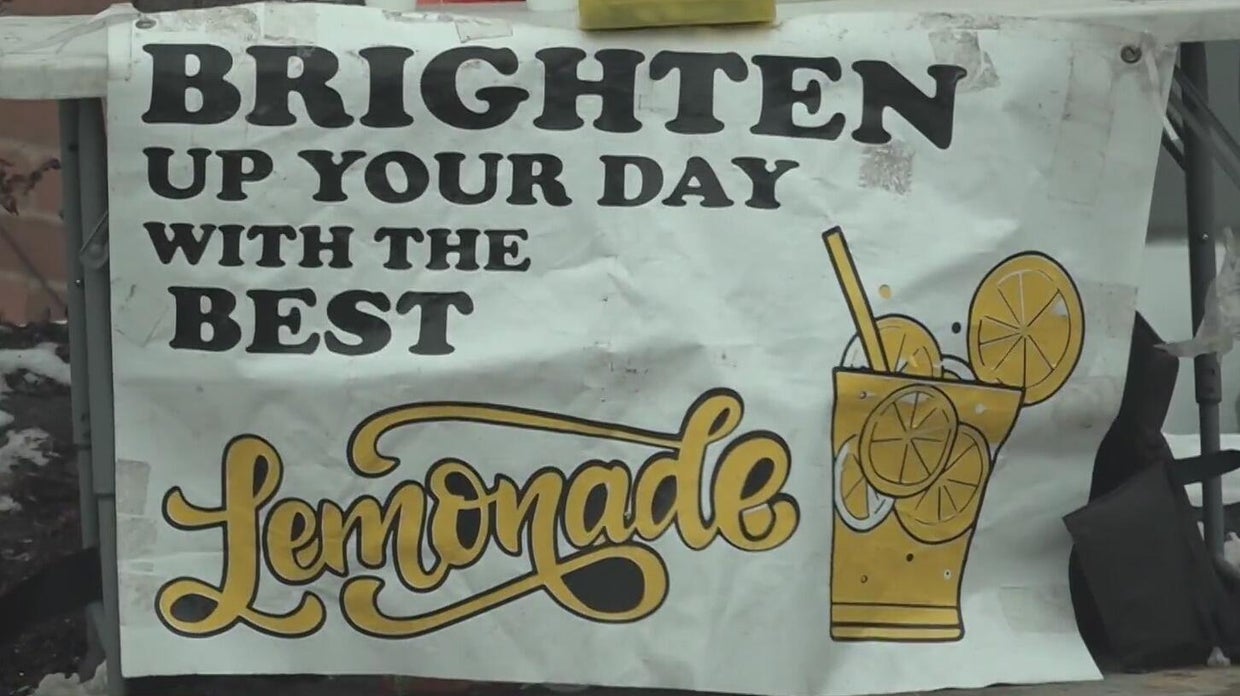 Who are Pittsburgh's lemonade twins? Social media posts raise concerns ...