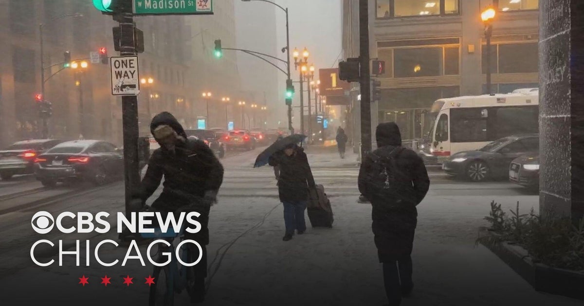 Snow squall smacks Chicago commuters in the face Wednesday morning ...