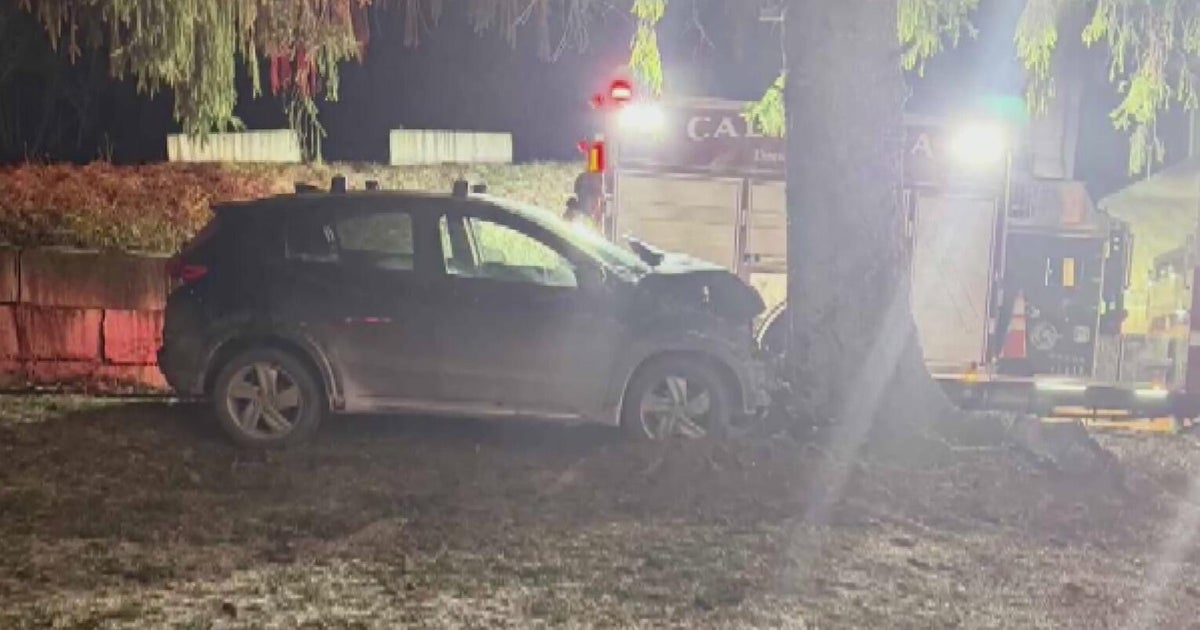 Man crashes into tree in Washington County - CBS Pittsburgh