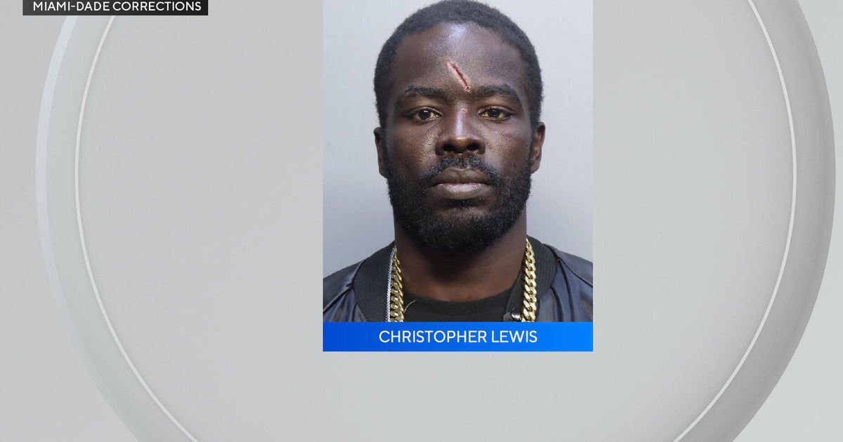 Miami-Dade man accused of killing puppy facing felony charge, officials ...